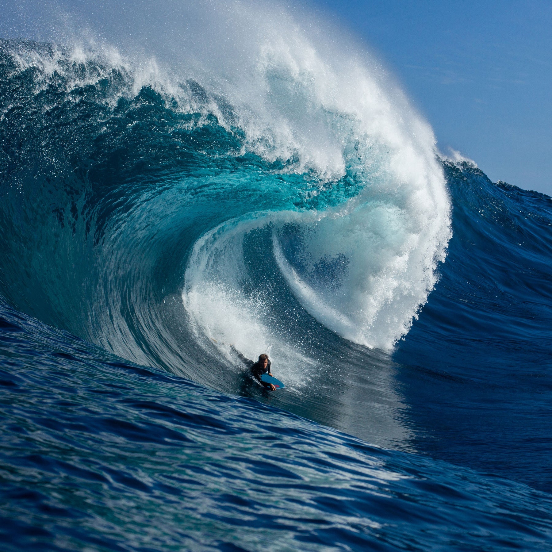 Bodyboard Collection – Creatures Of Leisure NZ